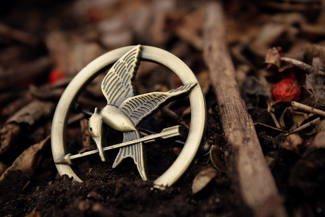 The Hunger Games Guide To Getting More Landscape Architecture RFP