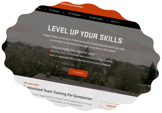 Home | Web Canopy Studio